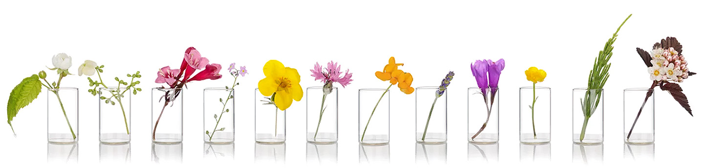 Essential Oils & Aroma Pumps | Accurate Industries