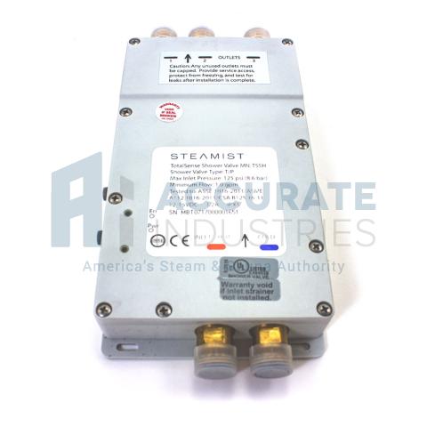 Steamist TSSH | Accurate Industries